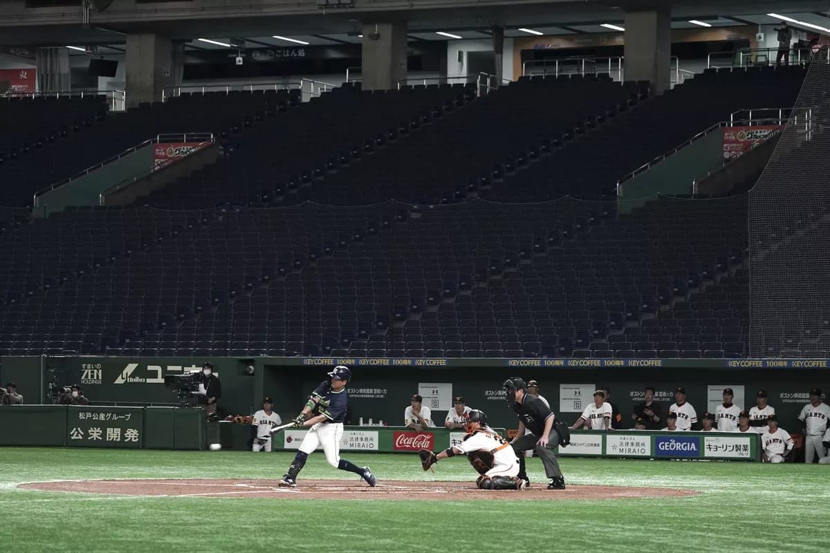 What You Need To Know About Japanese Baseball - SportsInsider.com