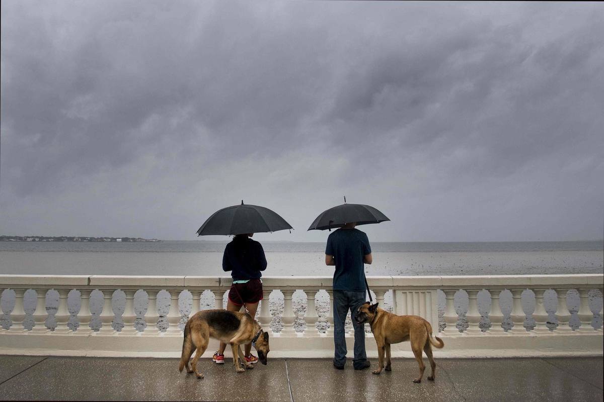 Stanley Cup Game 5 Still A ‘Go’ Despite Hurricane Elsa - SportsInsider.com